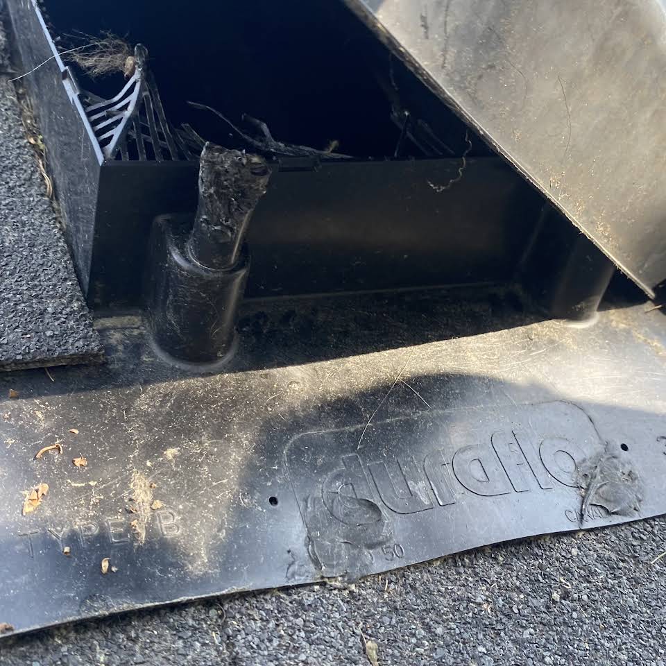 Lawn pest Solutions – KD Auto Sales