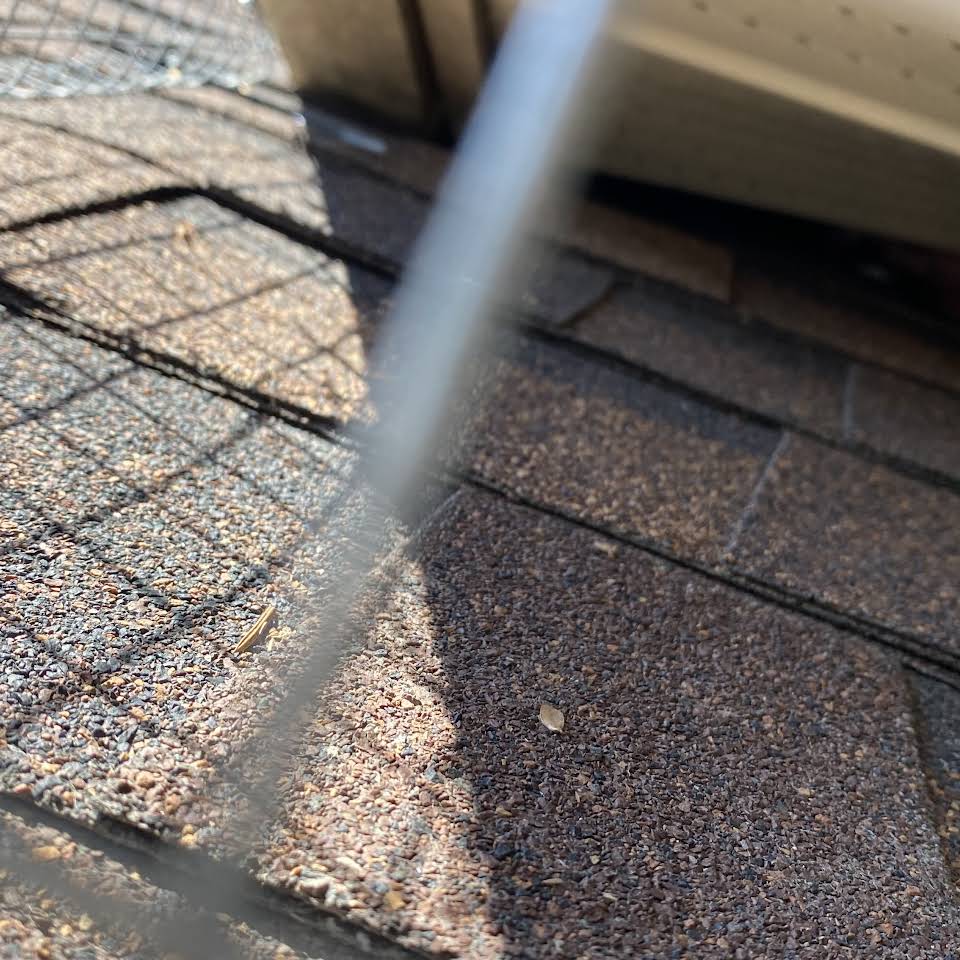 Lawn pest Solutions – KD Auto Sales