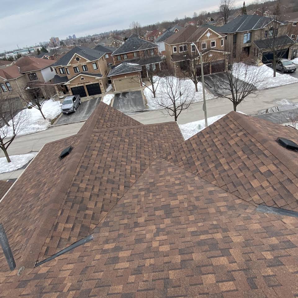 Lawn pest Solutions – KD Auto Sales