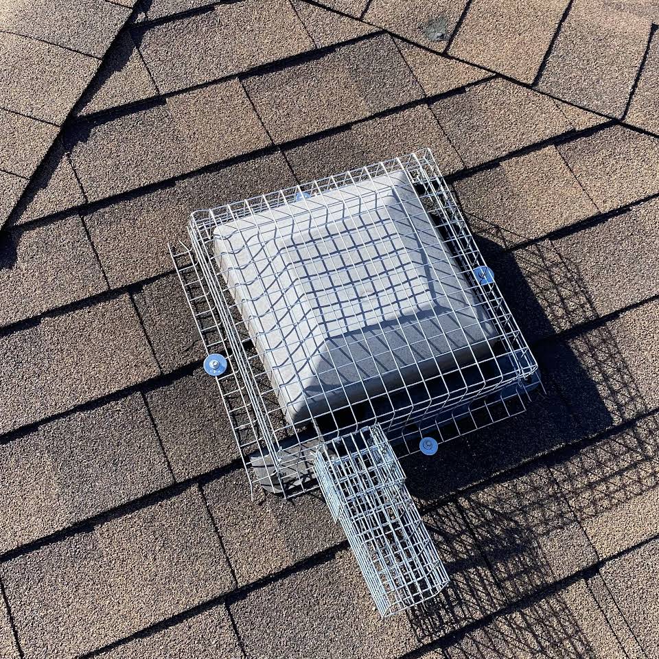 Lawn pest Solutions – KD Auto Sales